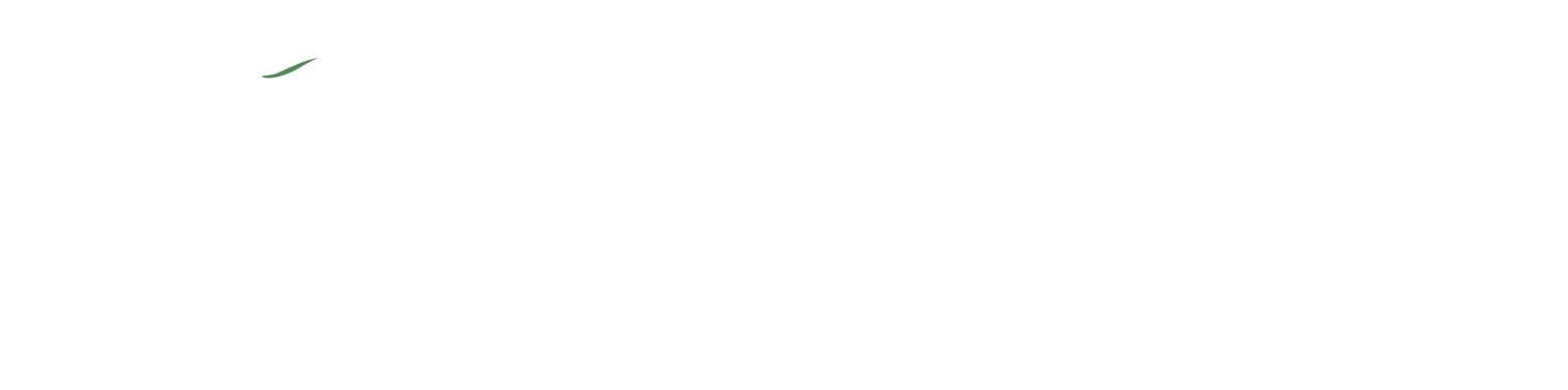 Dragon Boat & International Festival – Peach State Dragon Boat Academy